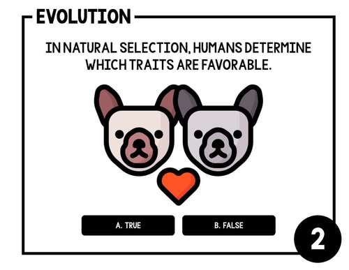 Evolution Digital Task Cards Activity | Science Boom Cards™ by EzPz-Science