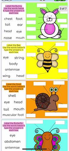 Label the Animal's Body Parts- Spring Equinox Science Digital Activity