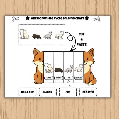 Arctic Fox Life Cycle Folding Craft|Cut & Paste Science Activity|Winter ...