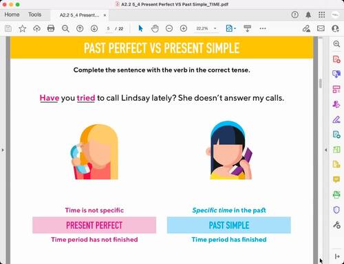 ESL Elementary Lesson: Practise the Present Perfect vs Past Simple with ...