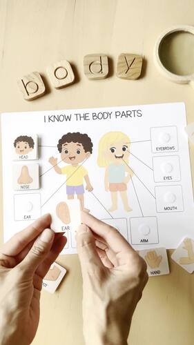 Body Parts Matching Activity for Kids – Human Anatomy Preschool Worksheets