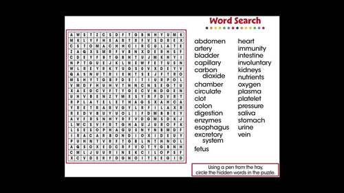 Circulatory, Digestive & Reproductive Systems: Word Search - MAC Gr. 3-8