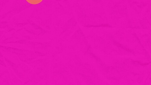 BUNDLE - Protein Unit - Sports Nutrition - Health - Biology - Physical ...