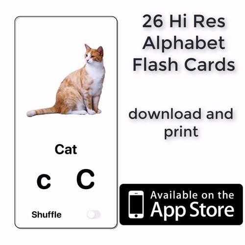 Alphabet Flash Cards - set of 26 - Companion App iOS by Easy Simple Smart
