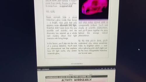 Valentine’s Day Science lesson, Pink‑Glowing Squirrels, worksheets, sub ...