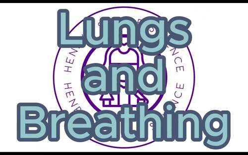 Lungs and Breathing - low ability/special ed/SEND by Henrys Simple Science