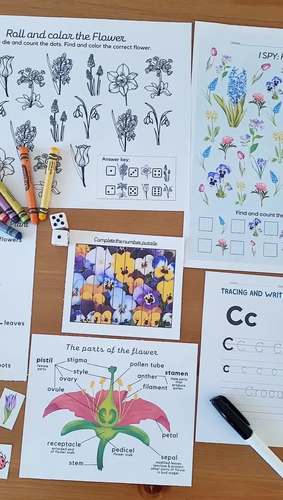 Spring flowers learning pack - Spring flowers flashcards, flowers anatomy
