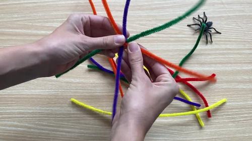 Animal Adaptations STEM Challenge Design a Spider Web PRINT and DIGITAL