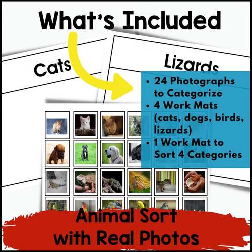 Sorting Animals by Category - Science (Autism & Special Education)