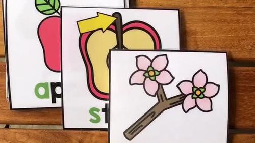Apples Literacy and Math Centers for Preschool, Kindergarten & Special ...