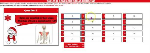 Christmas Themed Skeletal System: Bone Identification-Skeletal System ...