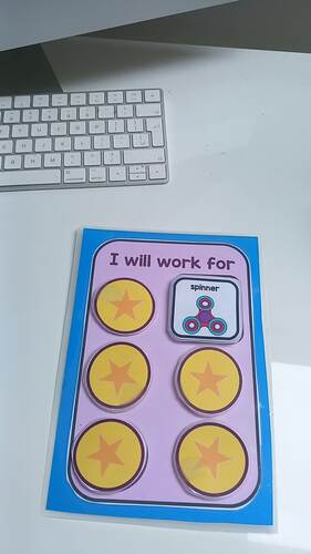 Classroom Support Visuals on a Ring | Behavior Management by Autismade