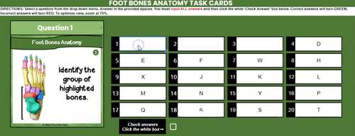 Foot Bones Anatomy Digital and Print Task Cards by Abaco Education Zone