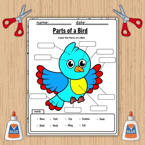 Parts of a Bird Worksheet | Label the Parrot | Bird Science Activity ...