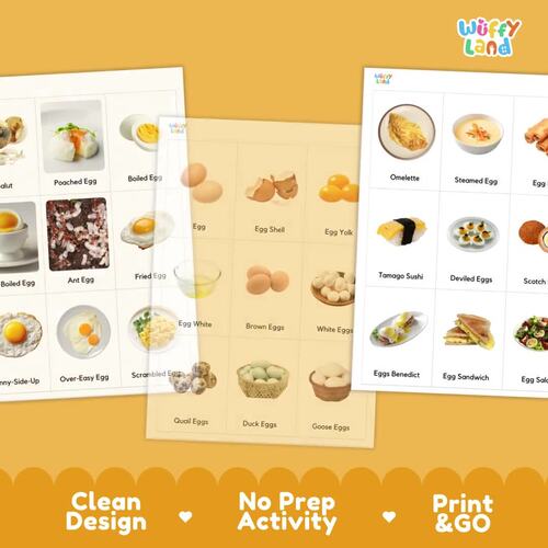 Types of Eggs Flashcards | Real Photo Vocabulary Cards | Food Science ...