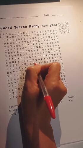 New Year & Winter Word Search Worksheets (100 Pages PDF) by Wine deng