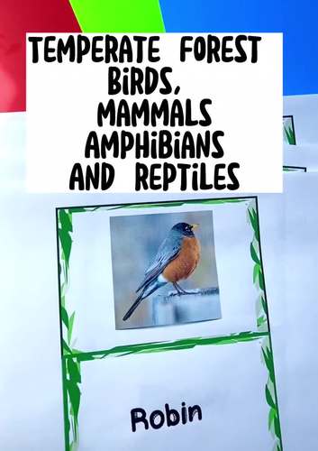 30 Temperate Deciduous Forest WILDLIFE PHOTO SORT REFERENCE CARDS