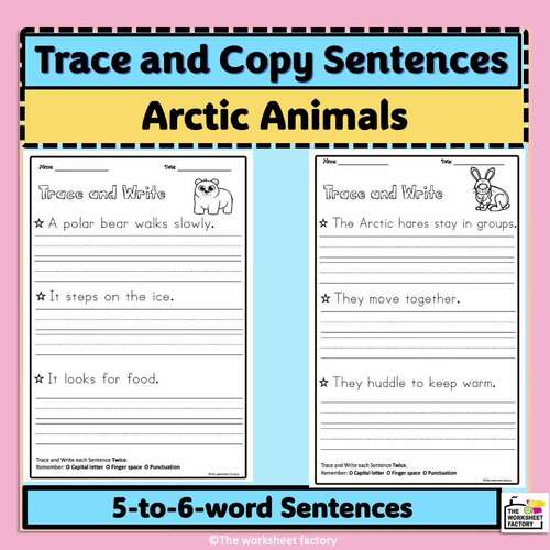 Arctic Animals Copy the Sentences BUNDLE | Winter Handwriting Practice ...