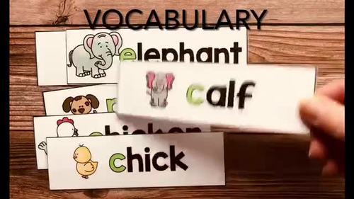 Baby Animals mini-unit for Preschool, Kindergarten & Special Education