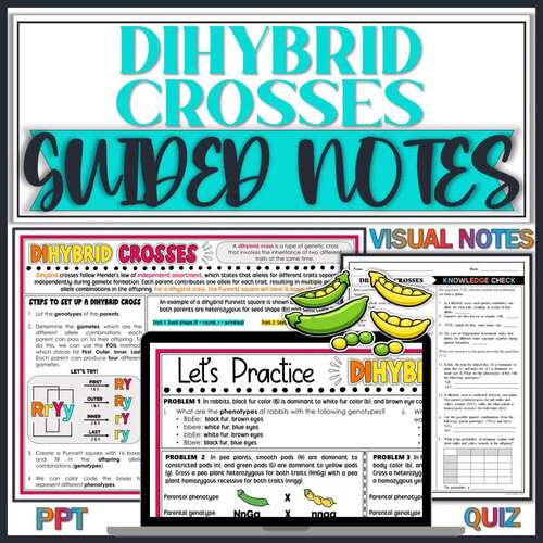 Mendelian Genetics Dihybrid Crosses Doodle Biology Guided Notes ...