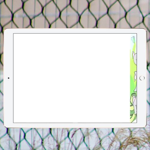 Find the zoo animal shapes | BOOM CARDS with audio | TRAPEZOID | TPT