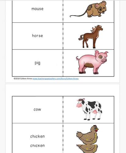 EL/ESL Newcomer Unit: Pets & Nature by Colleen Annes | TPT