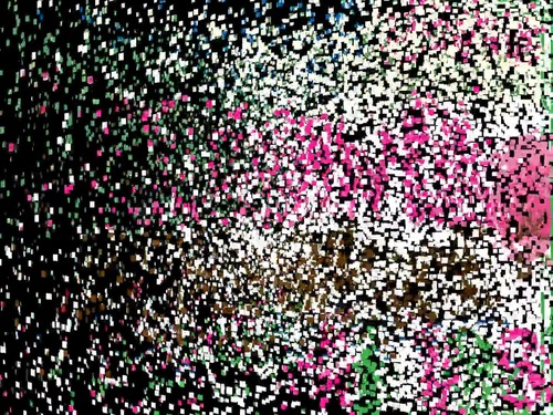 Growth Mindset Exit Slips & Strategies | Editable for All Subjects