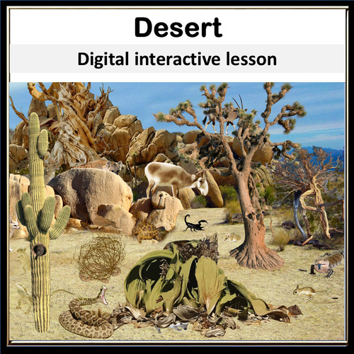 Desert Biome and Survival Quest Interactive Digital Resource No Prep