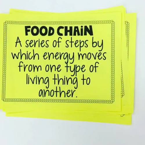 Animal Adaptation and Biome Research and Vocabulary Bundle | TPT