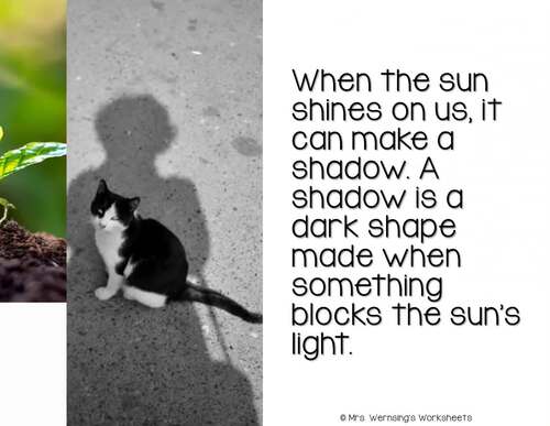 Sun and Shadows - Projectable Read-Aloud Lesson - KINDERGARTEN SCIENCE