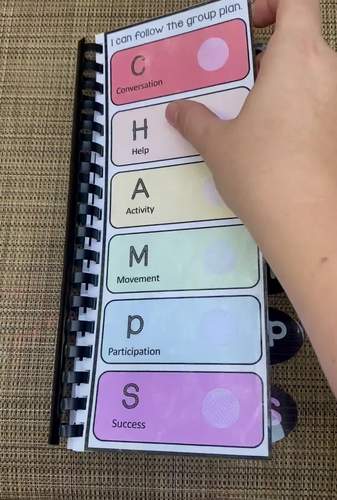 CHAMPS Expectations and Visuals for Individual Students by Blueberry Patch