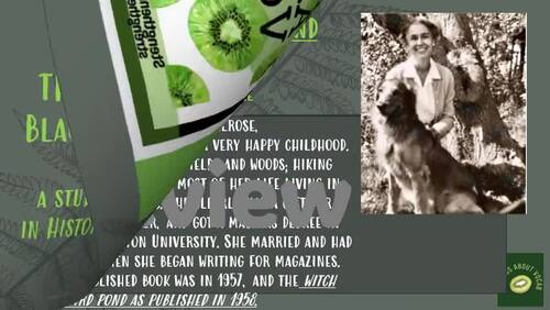 The Witch of Blackbird Pond PowerPoint Intro | Historical Background Lesson