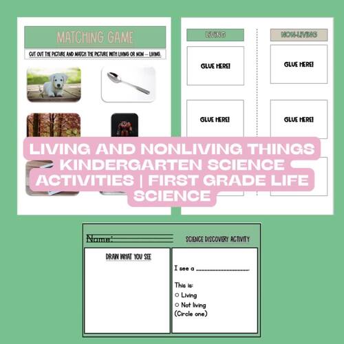Living and Nonliving Things Kindergarten Science Activities | First ...