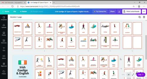 Irish Gaeilge sports flashcards by Language Forum | TPT