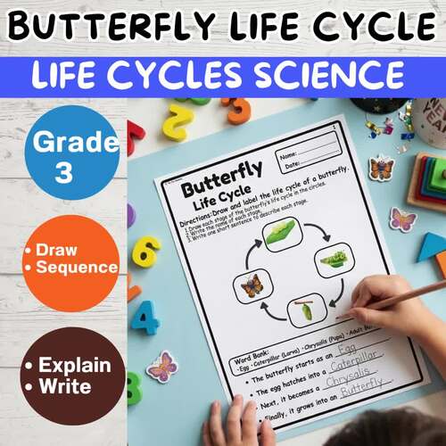 Life Cycle of a Butterfly Activities | Grade 3 Science Worksheets