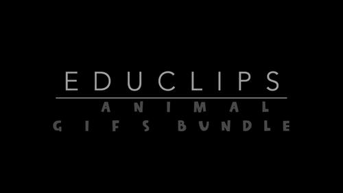 GIFs - Animals Bundle - Animated Images - {Educlips} by Educlips