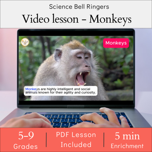 Science bell ringer video (4 min) - Monkeys - Middle school | TPT