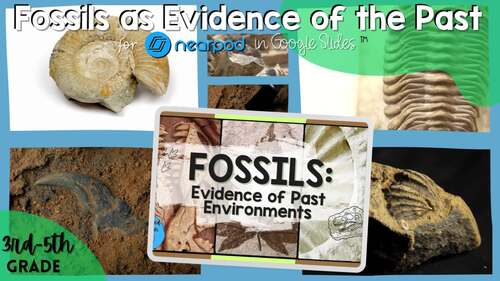 Fossils as Evidence of Past Environments for Nearpod in Google Slides
