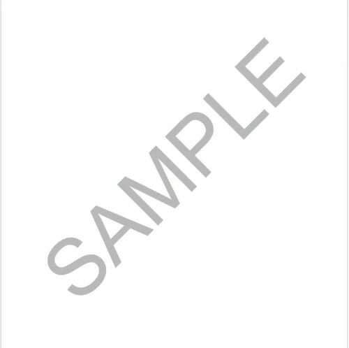 Pictures of Hollis Woods Novel Units® Student Packet Novel Study