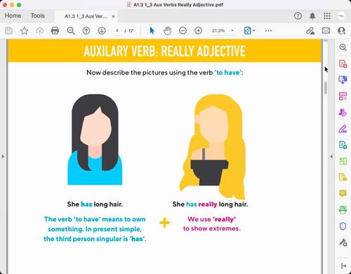 ESL Beginners Lesson: Learn Descriptions with Auxiliary Verbs in English