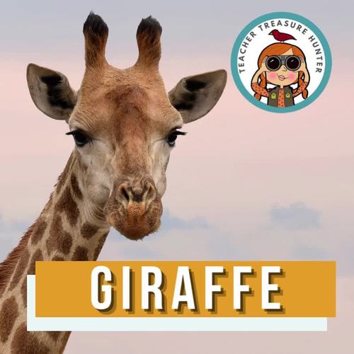 Giraffe nonfiction passage for reading or African animals research report