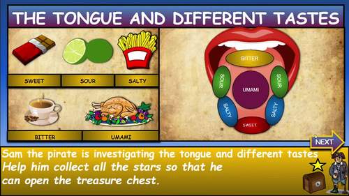 Parts Of The Tongue Powerpoint + Worksheets. How do we taste food?