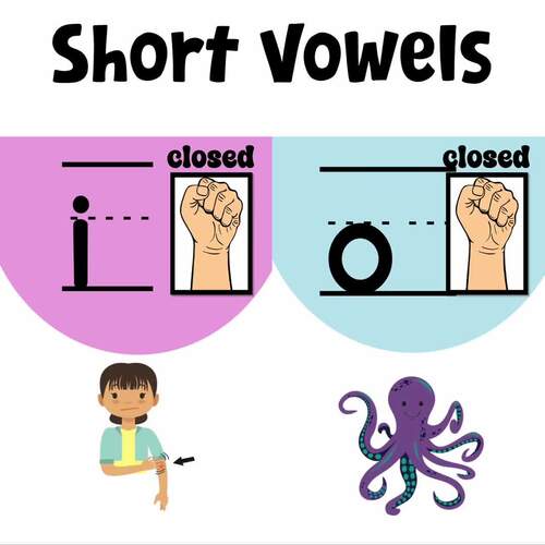 1st Grade Sound Wall aligned with 95% Group by TeachingWithJess | TPT