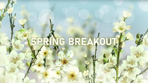 SPRING ESCAPE ROOM/BREAKOUT - STEM 360 VR DIGITAL by K's Digital Store