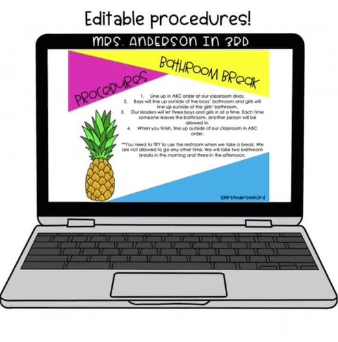 Routines and Procedures PowerPoint- Pineapple Theme by Mrs Anderson in 3rd