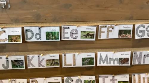 Natural Nature Bilingual Alphabet by Watering Wildflowers | TPT