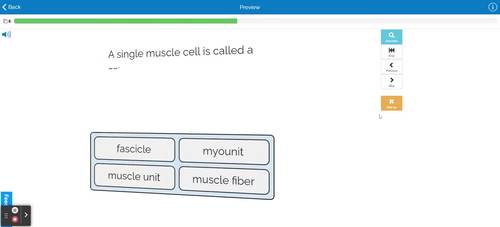 Muscular System Boom Cards by JayZee | Teachers Pay Teachers
