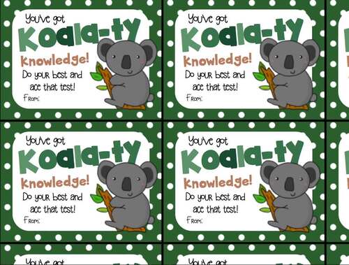 Koala Testing Motivation Gift Tag- You've got Koala-ty knowledge! Do ...