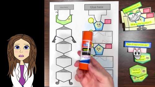 Macromolecules Foldables by Mrs G Classroom | TPT