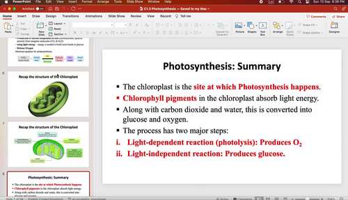 IB Biology C1.3: Photosynthesis (first exams in 2025) | TPT